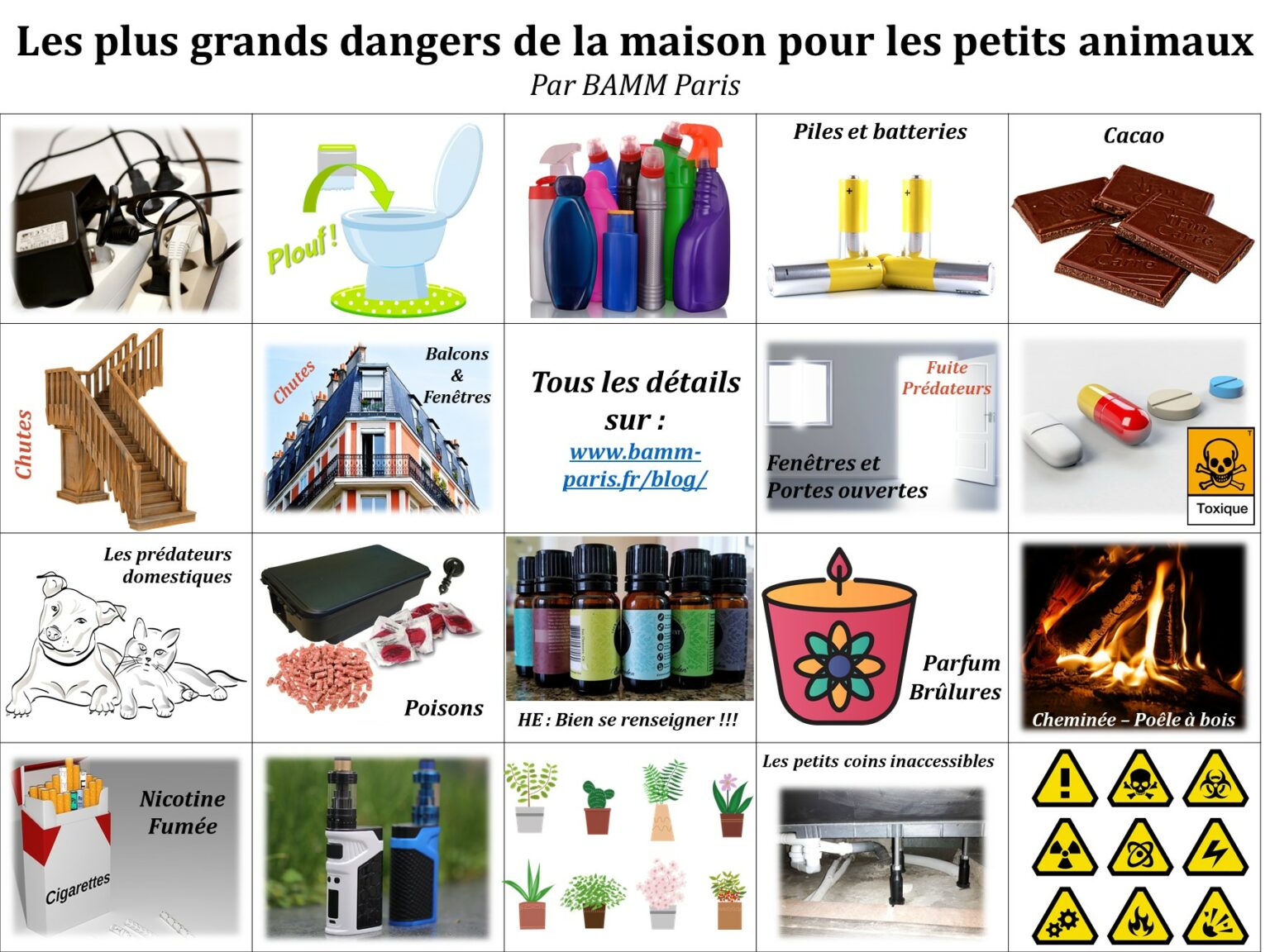 Les plus grands dangers de la maison pour les animaux - BAMM Paris