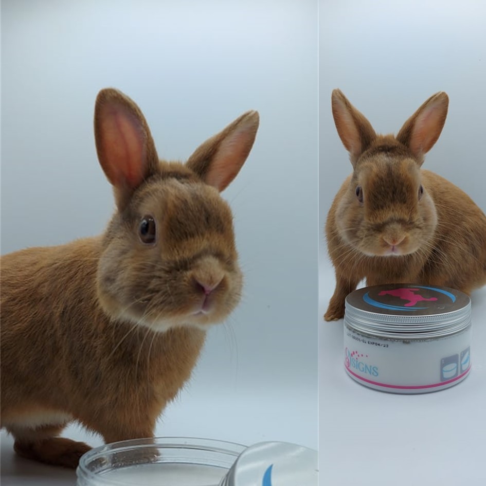 Lapin stressé ou peureux ? Aidez-le avec le SecureBunny - BAMM Paris